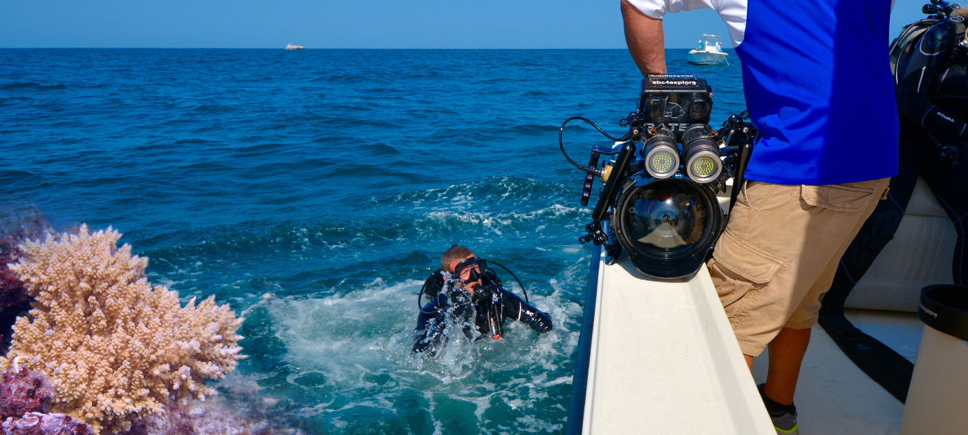 Paradise Reef | Marine Team